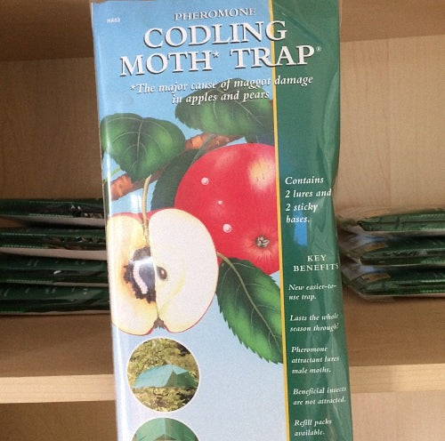 Codling Moth Trap – Southern Fruit Trees